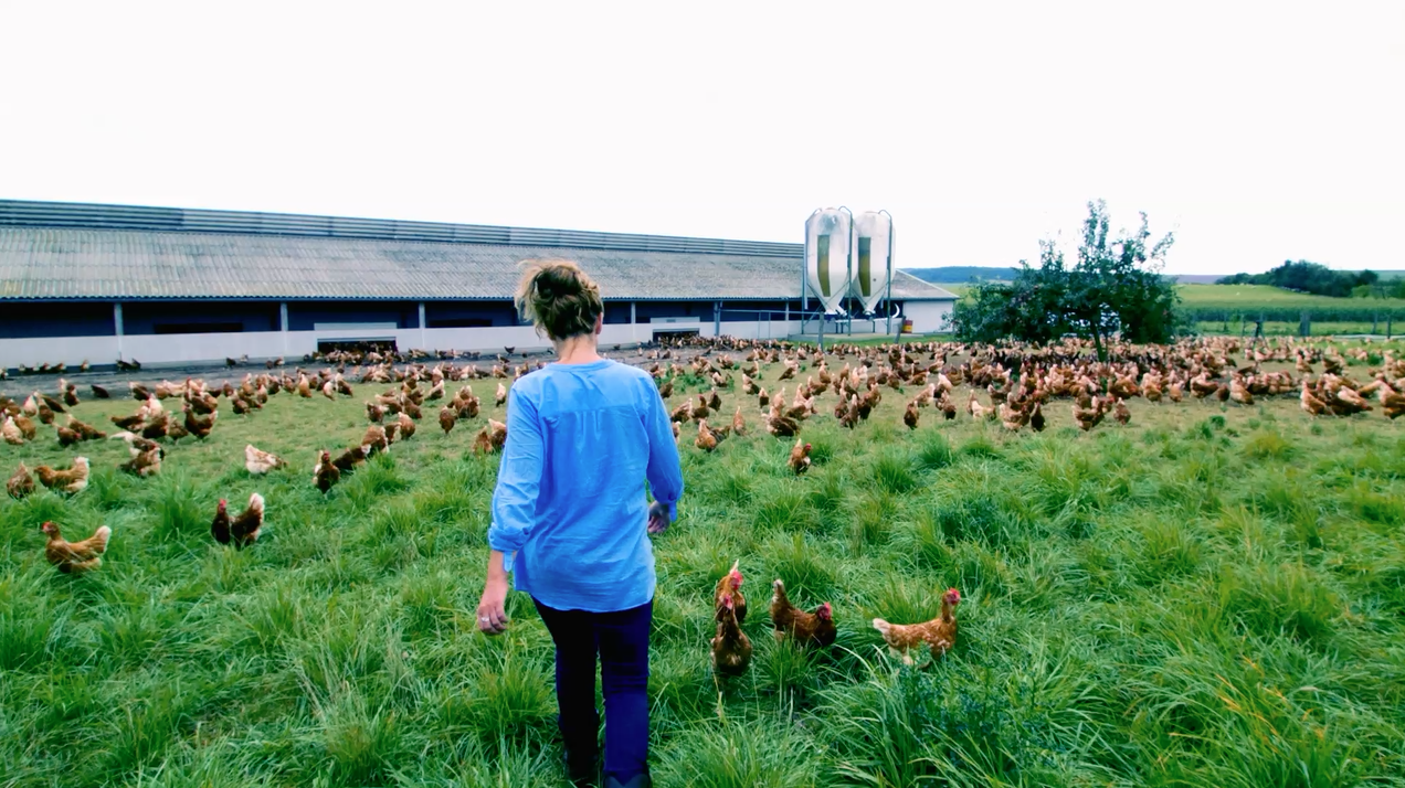 Reportage industriel / Prix Pierre Potier - La Chapelle des Pixels